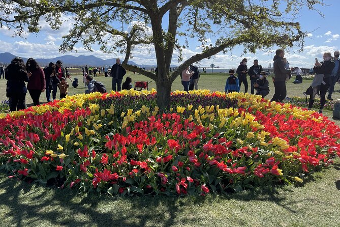 Tulip Festival in Skagit Valley Tour from Seattle - Transportation and Group Size