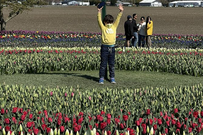 Tulip Festival in Skagit Valley Tour from Seattle - Authentic Insights from Reviewers