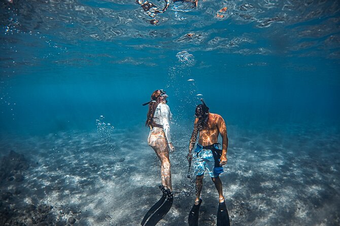 Turtle Gardens West Maui Snorkel Tour - FAQs