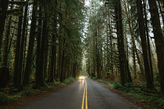 Twilight Forks Washington Tour - Pricing & Value Analysis