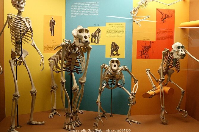 Two Smithsonian Museums Private Tour: American & Natural History - An In-Depth Look at the Tour Itinerary