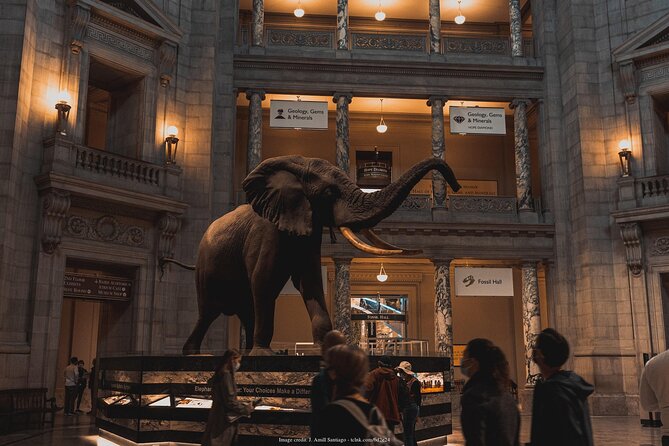 Two Smithsonian Museums Private Tour: American & Natural History - Authentic Insights from Reviewers