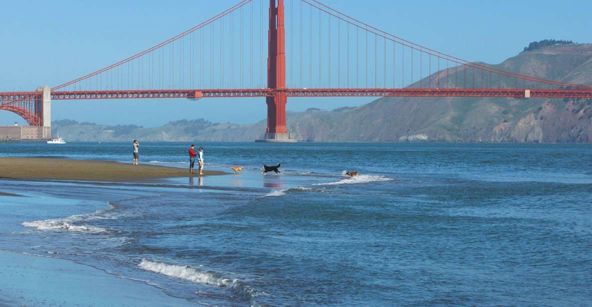Ultimate Golden Gate Bridge & SF Bay Explorer Tour - An In-Depth Look at the Tour