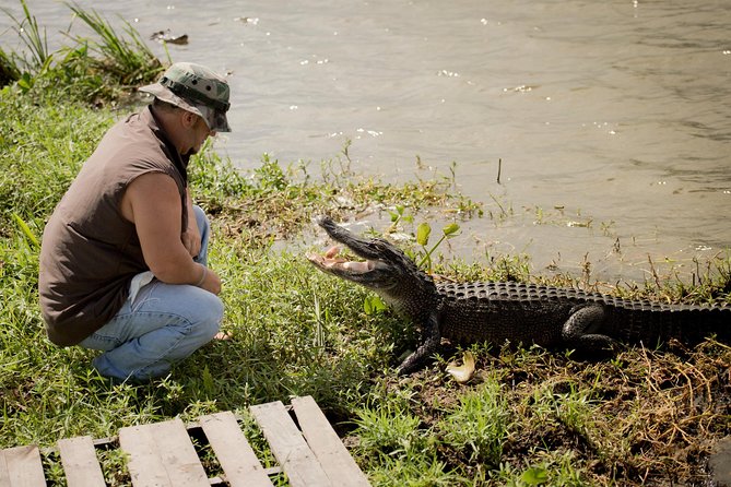 Ultimate Swamp Tour Experience with Transportation from New Orleans - Wildlife & Photo Opportunities