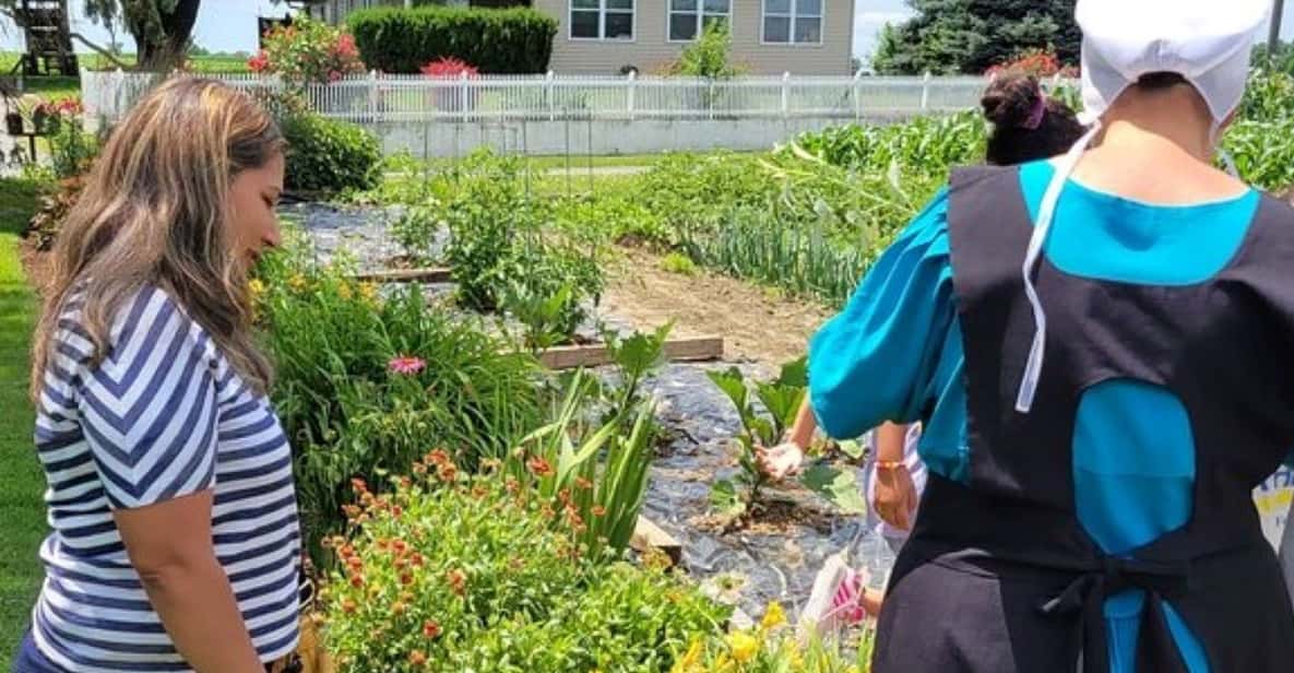 Unique Amish Immersion Experience - The Experience — What Travelers Are Saying