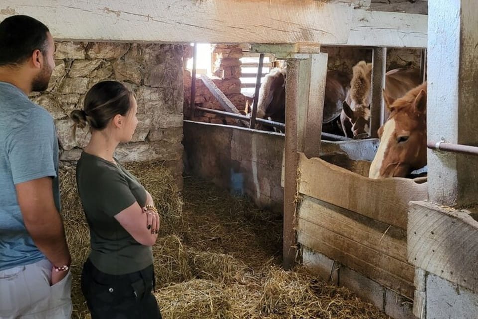 Unique Amish Immersion Experience - FAQ