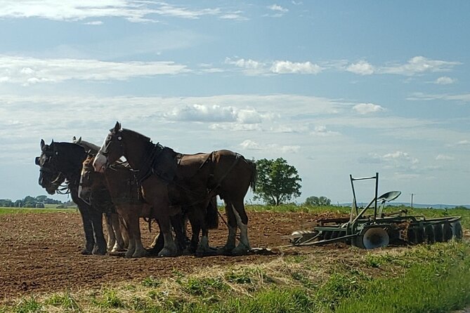 Unique Amish Immersion in Lancaster - FAQ