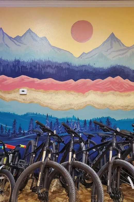 Utah: Candy Mountain Express Bike Trail Half Day Rental - Who Will Love This Experience?