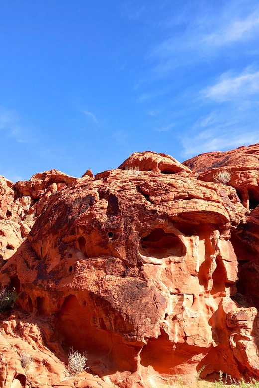 Valley of Fire Tour & Hike - The Bottom Line