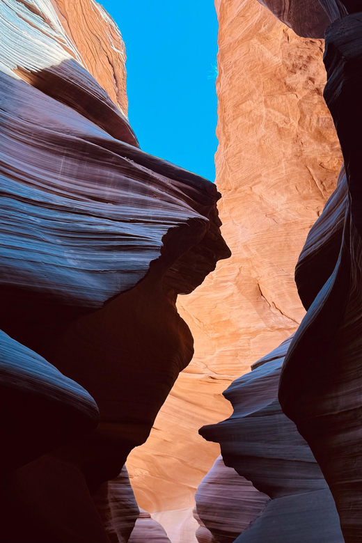 Vegas: Antelope Canyon, Horseshoe Bend w/ Lake Powell - Why This Tour Stands Out
