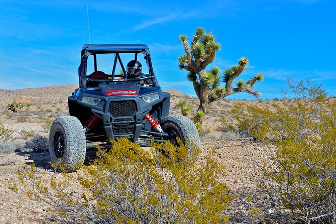 Vegas Desert RZR Adventure with Lunch at the Pioneer Saloon - FAQs