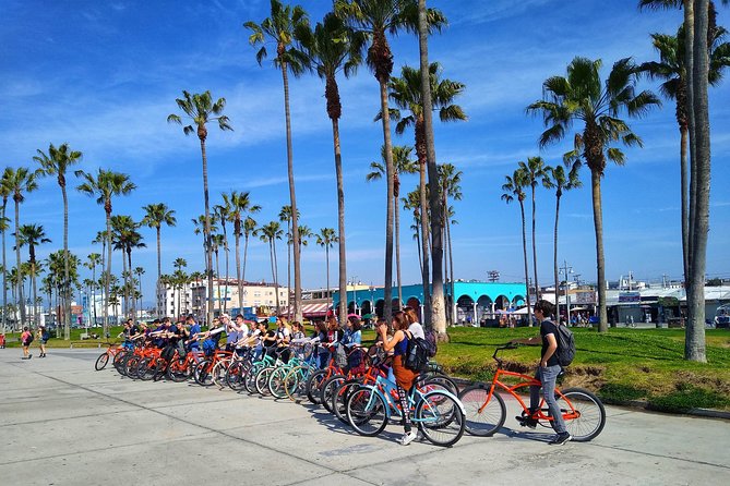 Venice Vibrations Public Bike Tour Experience - Authentic Experiences and Subjective Highlights