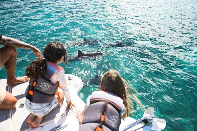 Venture Wildlife Snorkel Charter from Ko Olina - The Itinerary: What to Expect?