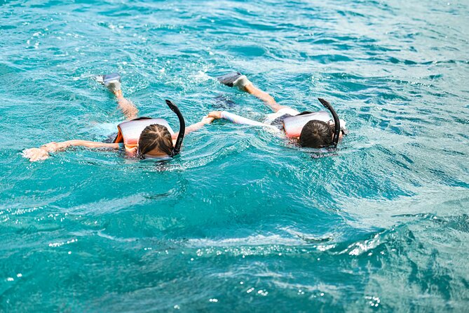 Venture Wildlife Snorkel Charter from Ko Olina - Price and Value