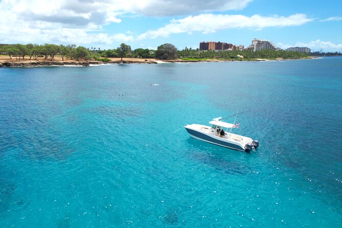 Venture Wildlife Snorkel Charter from Ko Olina - The Experience Providers and Logistics