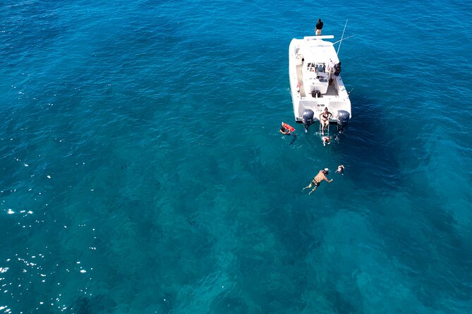 Venture Wildlife Snorkel Charter from Ko Olina - FAQs