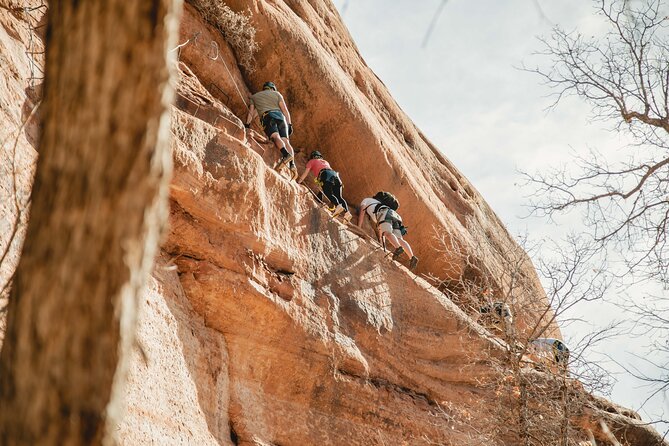 Via Ferrata / Rappel Adventure in East Zion - Value for Money: Is It Worth It?