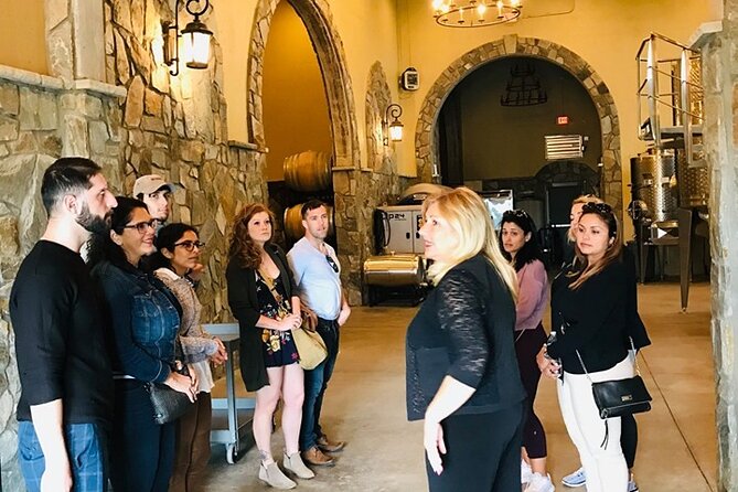 Virginia Wineries Guided Tour & Tastings from Washington DC - Who Is This Tour Best For?