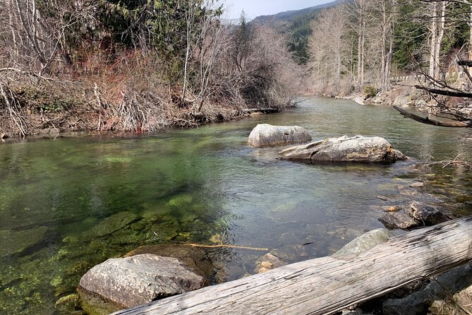 Visit Leavenworth on a guided Cascades and Snoqualmie Falls Tour - Who Would Love This Tour?