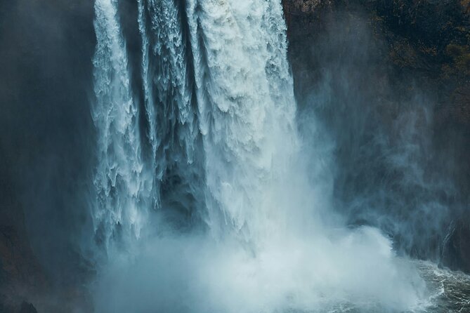 Visit Snoqualmie waterfall and an old Forest (Transport Included) - Who Is This Tour Best Suited For?