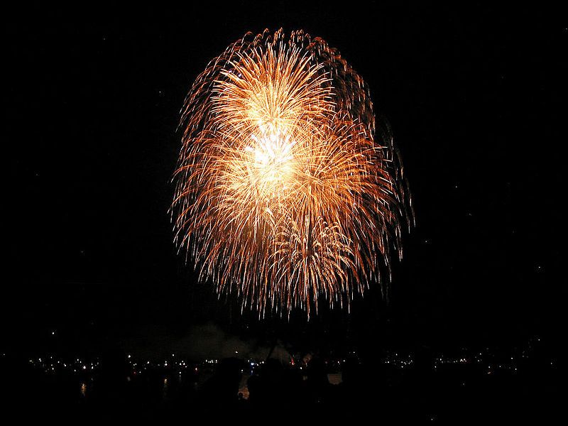 Waikiki Friday Night Fireworks Sail - Considerations and Drawbacks