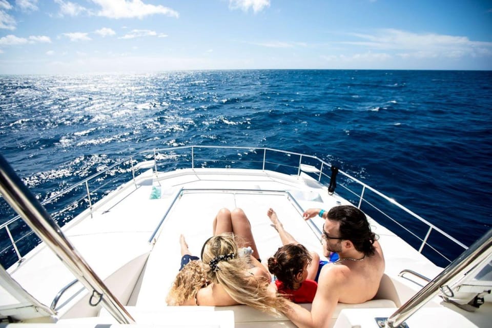 Waikiki: Midday Snorkel - Key Points