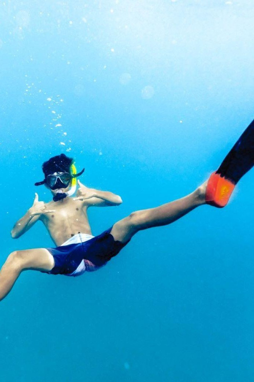 Waikiki: Midday Snorkel - What to Expect on the Waikiki Midday Snorkel