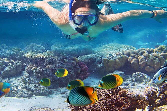 Waikiki Sail and Snorkel Adventure Best of Hawaii - Why This Tour Offers Good Value