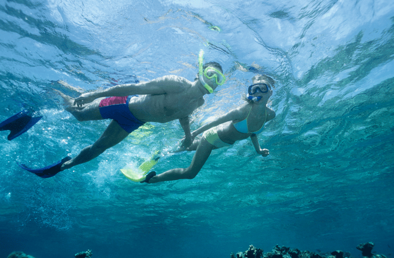 Waikiki Turtle Snorkel Adventure - What Makes This Snorkel Tour Stand Out?