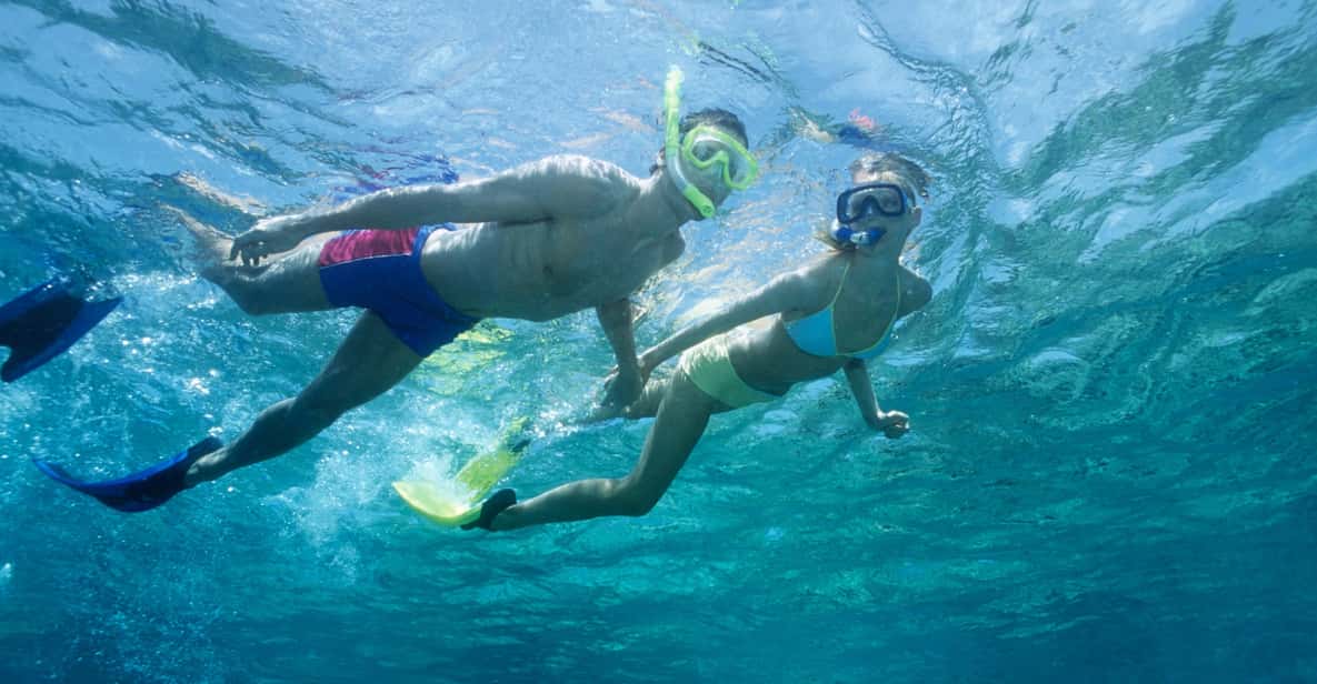 Waikiki Turtle Snorkel Adventure - The Itinerary: What to Expect