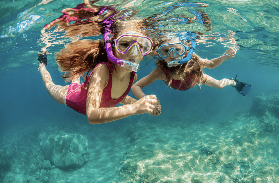 Waikiki Turtle Snorkel Adventure - Practical Details You Need to Know