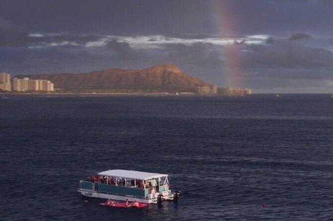 Waikiki Whale Watching Cruise - Key Points