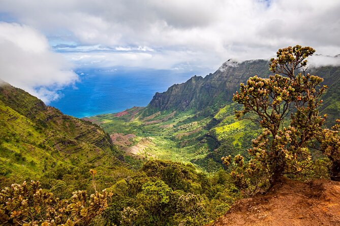 Waimea Canyon Private Tour with Local Guide from Kauai - Final Thoughts