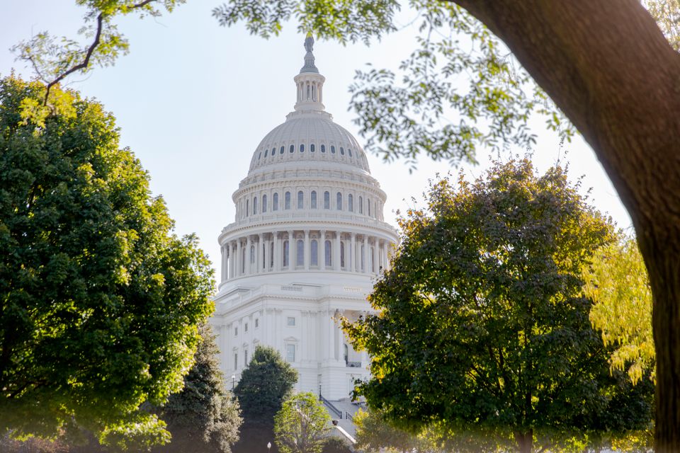 Washington DC: Bus Tour with US Capitol and Archives Access - Transport and Group Dynamics