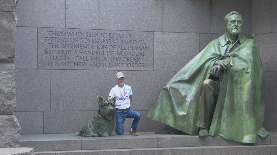 Washington DC: Cherry Blossom Walking Tour - What to Expect from the Cherry Blossom Walking Tour