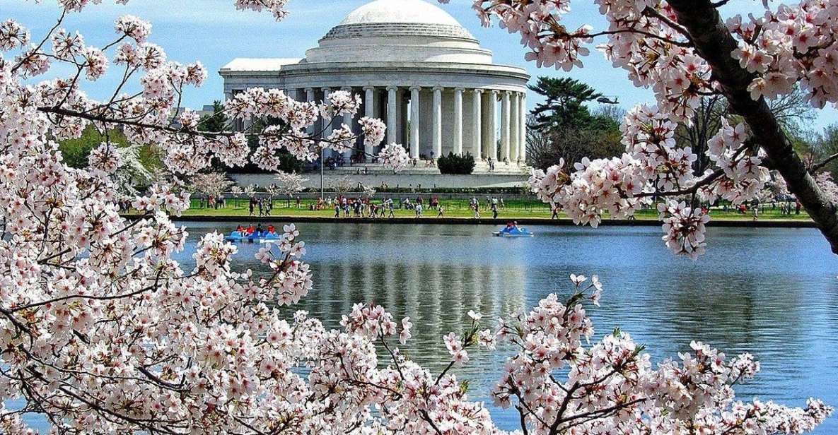Washington DC: Cherry Blossom Walking Tour - The Practicalities