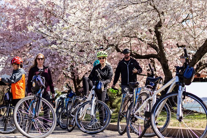 Washington DC Cherry Blossoms By Bike Tour - The Experience in Detail