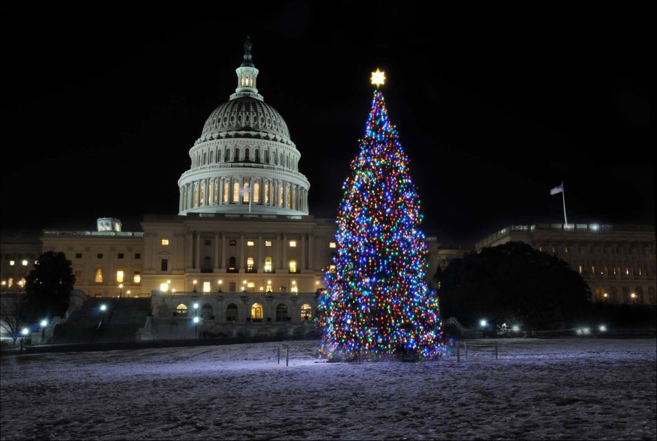 Washington, DC: Holiday Lights Nighttime Bus Tour - Who Is This Tour Best For?