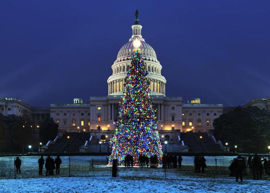 Washington, DC: National Mall and Memorials Moonlight Tour - Who Will Love This Tour?