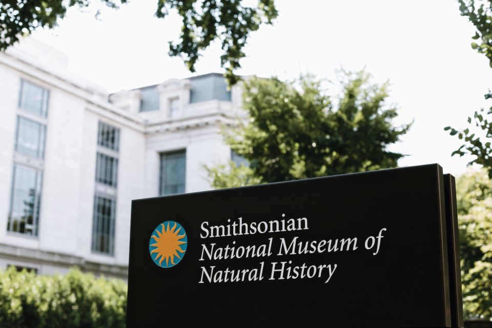 Washington DC: National Museum of Natural History Tour - A Closer Look at the Highlights