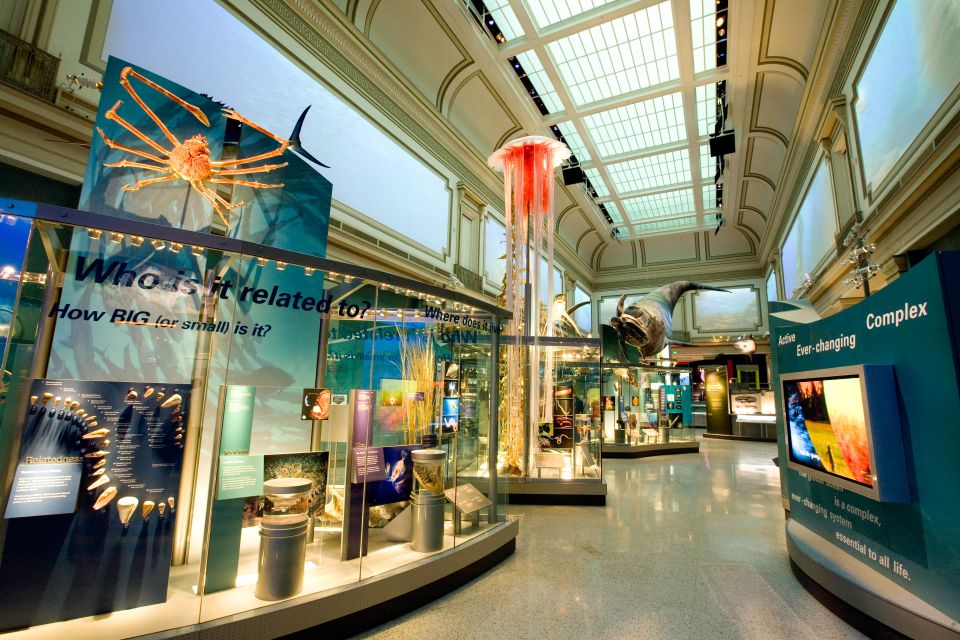 Washington DC: National Museum of Natural History Tour - Price and Value