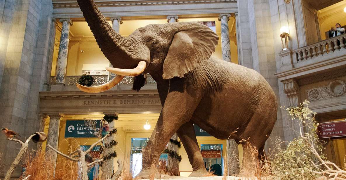 Washington DC: National Museum of Natural History Tour - Who Will Love This Tour?