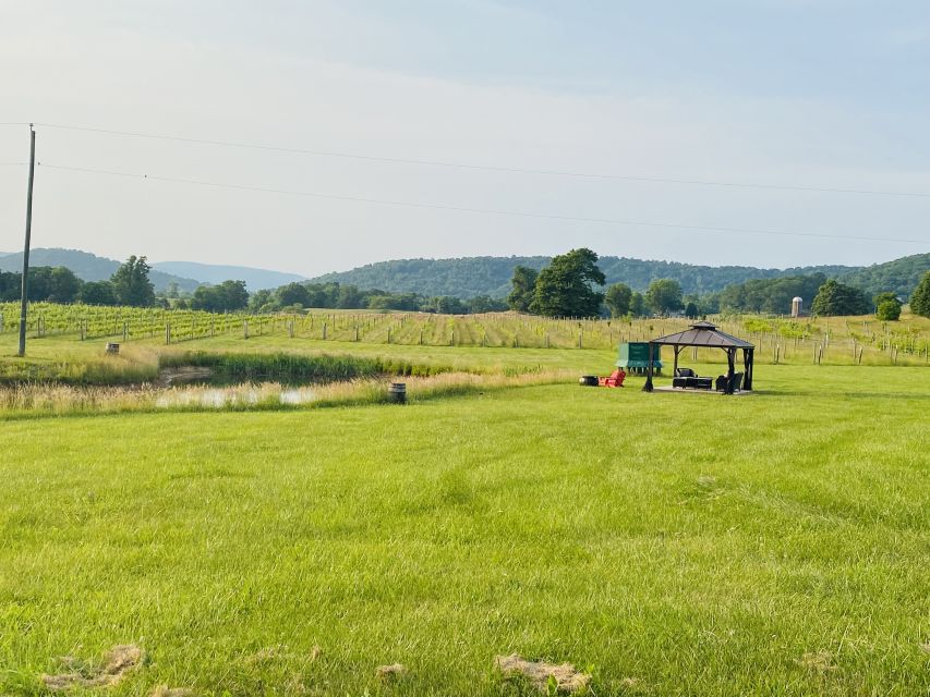 Washington, DC: Virginia Wine Region Experience Tour - Key Points