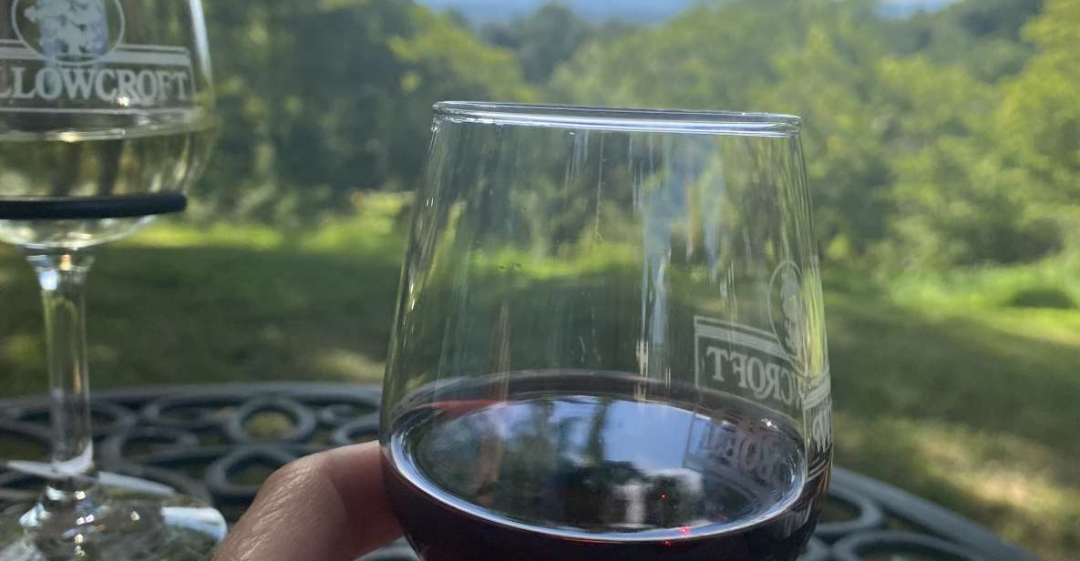 Washington, DC: Virginia Wine Region Experience Tour - The Sum Up