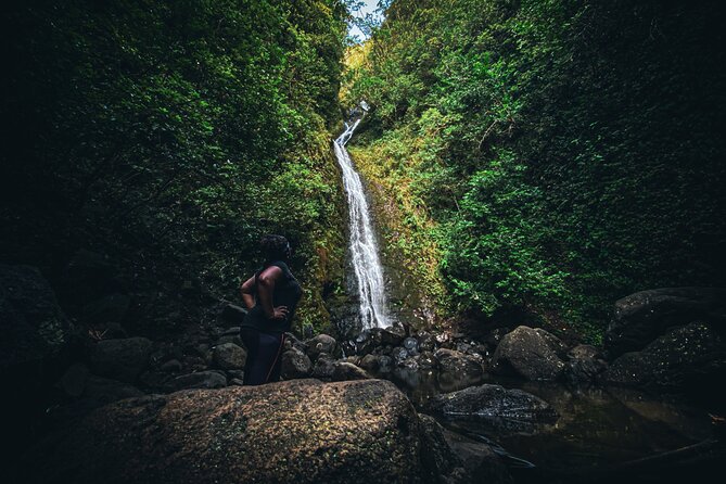 Waterfall Hike in Hawai'i Rainforest Trail - Who Should Book This Tour?