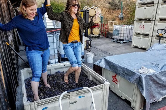 Waterfalls & Wine Tour-Multnomah Falls,Vineyards,Hood River Combo - Transport, Group Size, and Overall Comfort