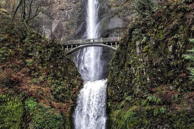 Waterfalls & Wine Tour-Multnomah Falls,Vineyards,Hood River Combo - Authentic Experiences and Honest Insights