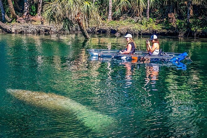Weeki Wachee Clear Kayak Ecotours Manatee Season - November 14th-March 31st