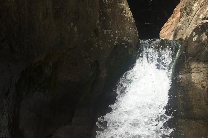 West Maui Adventure Tour with Private Guide - Final Thoughts