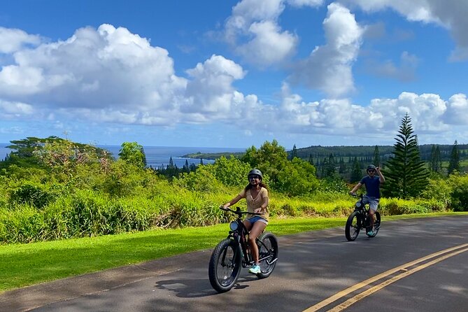 West Maui eBike Self-Guided Island Adventure Tour - The Realities of the Experience